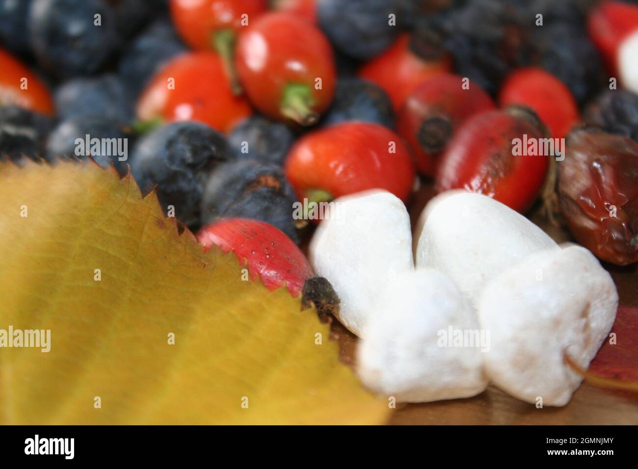 Clorofile hi-res stock photography and images - Alamy