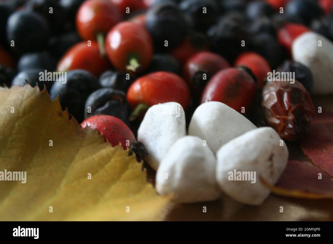 Clorofile hi-res stock photography and images - Alamy