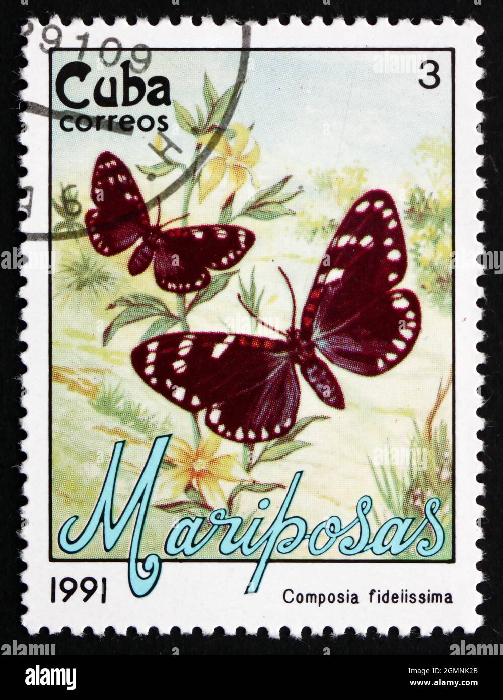 CUBA - CIRCA 1991: a stamp printed in the Cuba shows Faithful Beauty ...