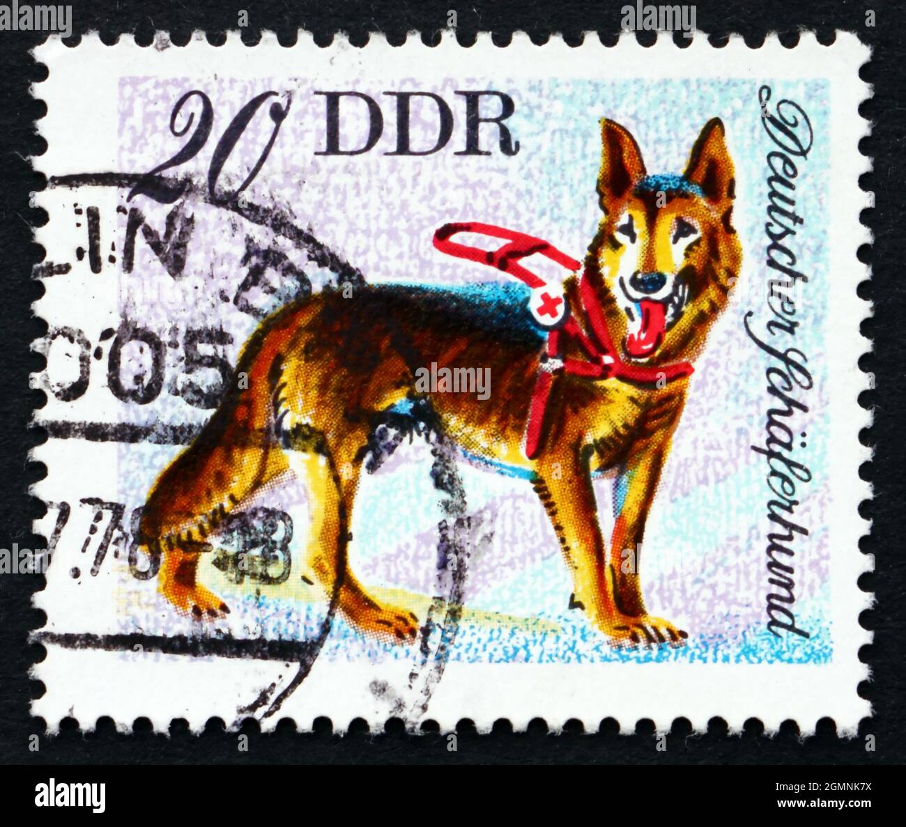 Ddr german shepherd hi-res stock photography and images - Alamy