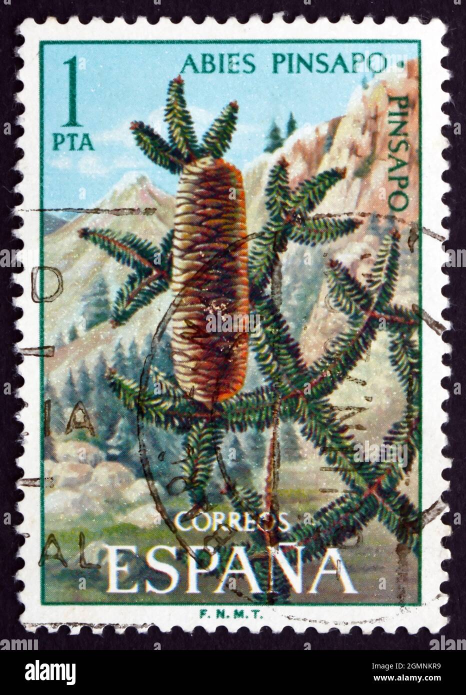 SPAIN - CIRCA 1972: a stamp printed in the Spain shows Spanish Fir ...