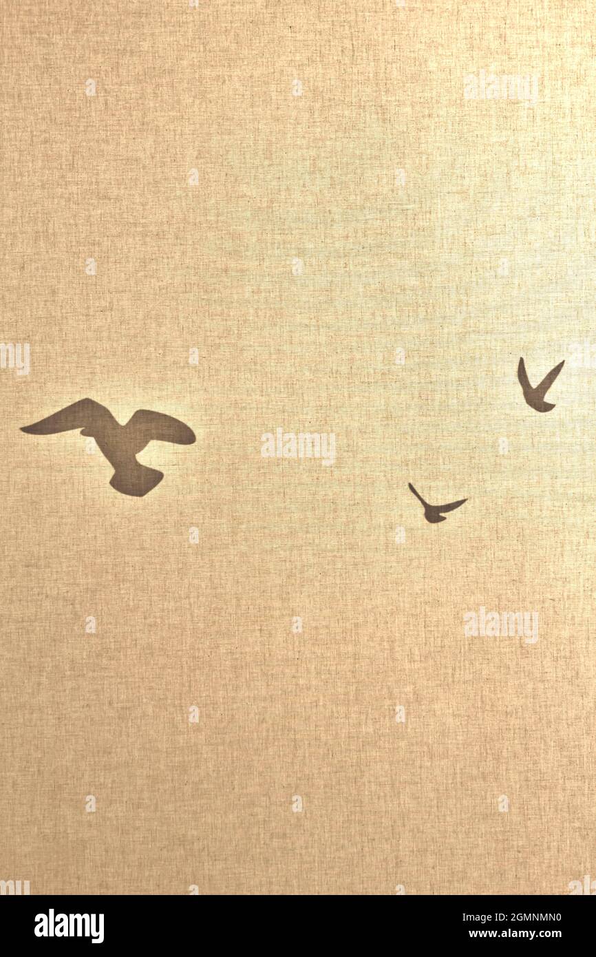 Illustration of birds' silhouettes on a beige background Stock Photo ...