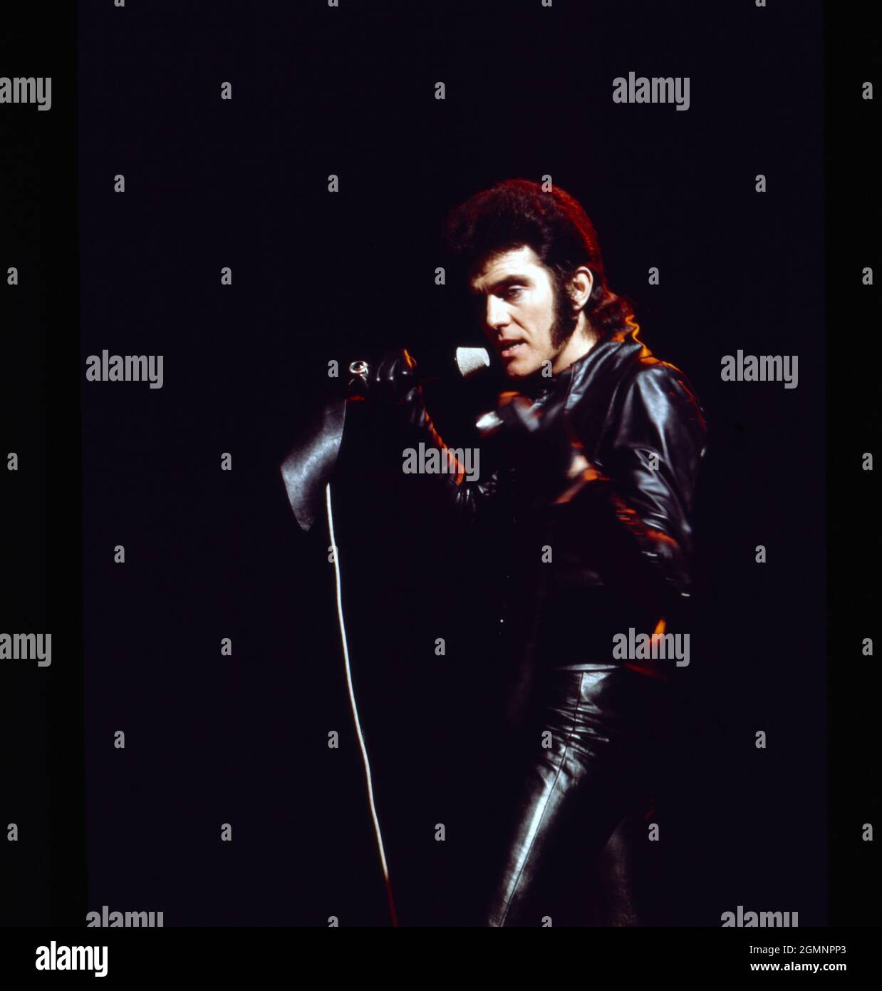Alvin stardust 1970s hi-res stock photography and images - Alamy
