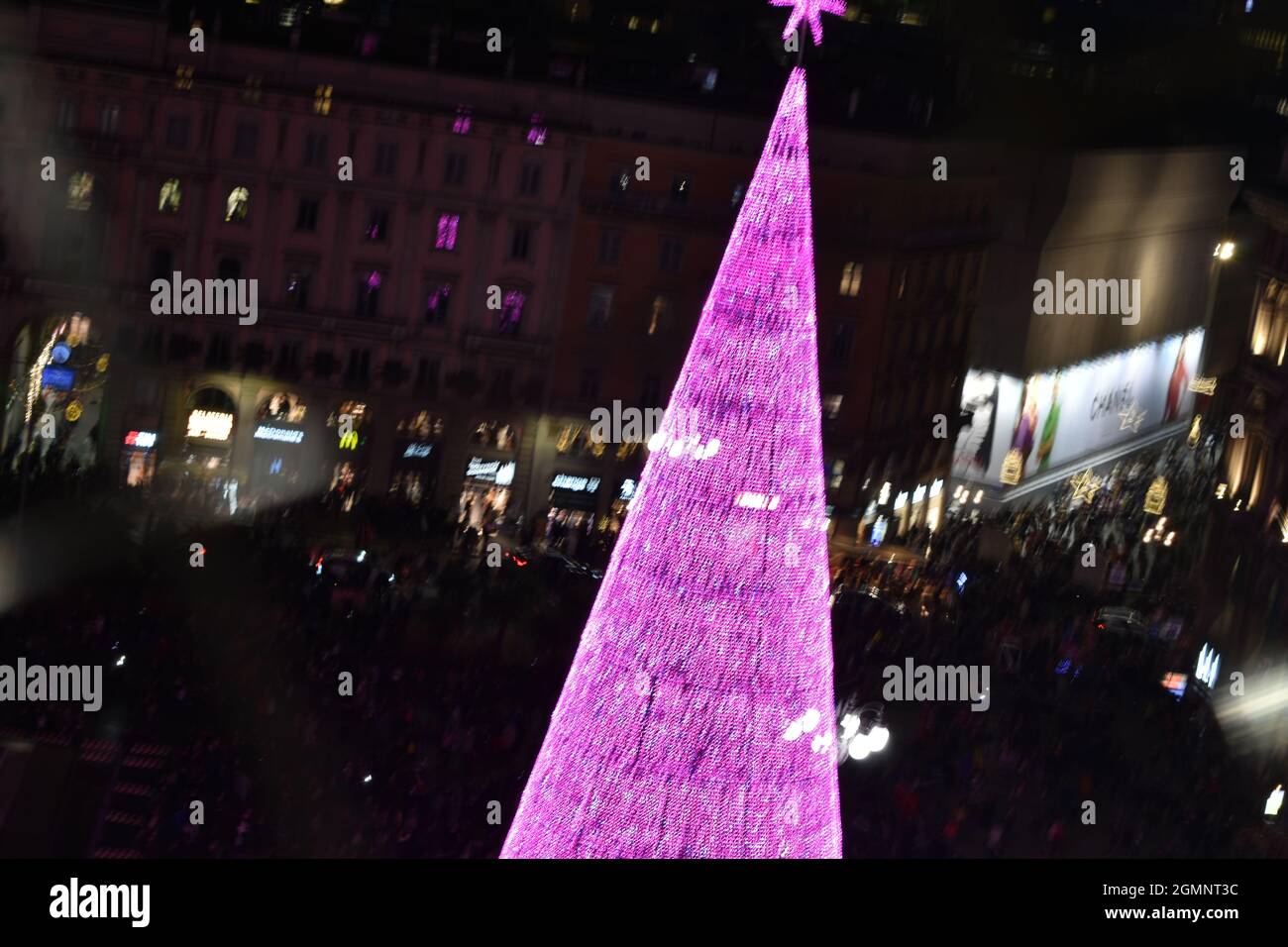 Tree with magenta light hi-res stock photography and images - Alamy