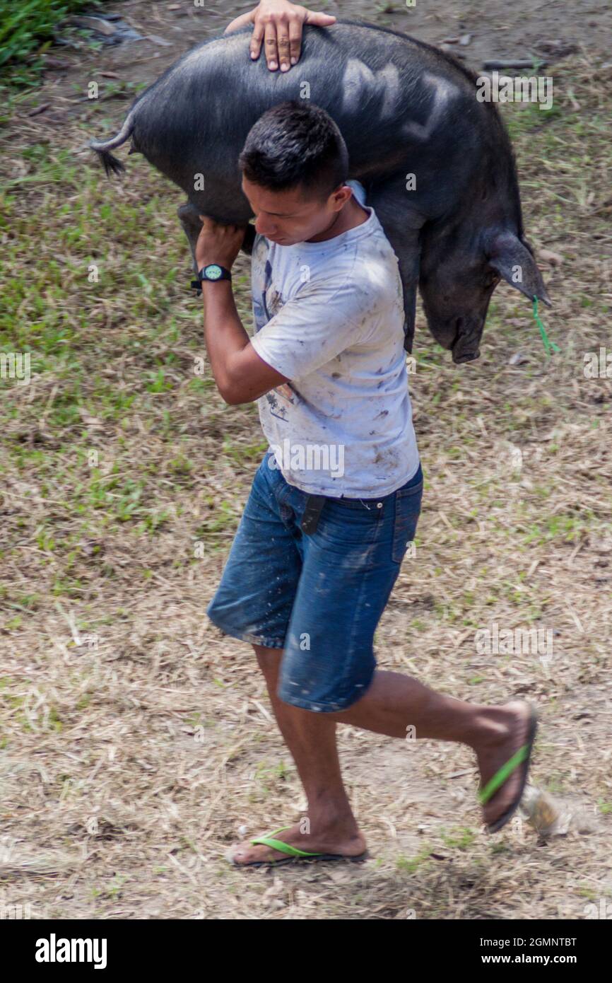 Amazonian cultures hi-res stock photography and images - Alamy