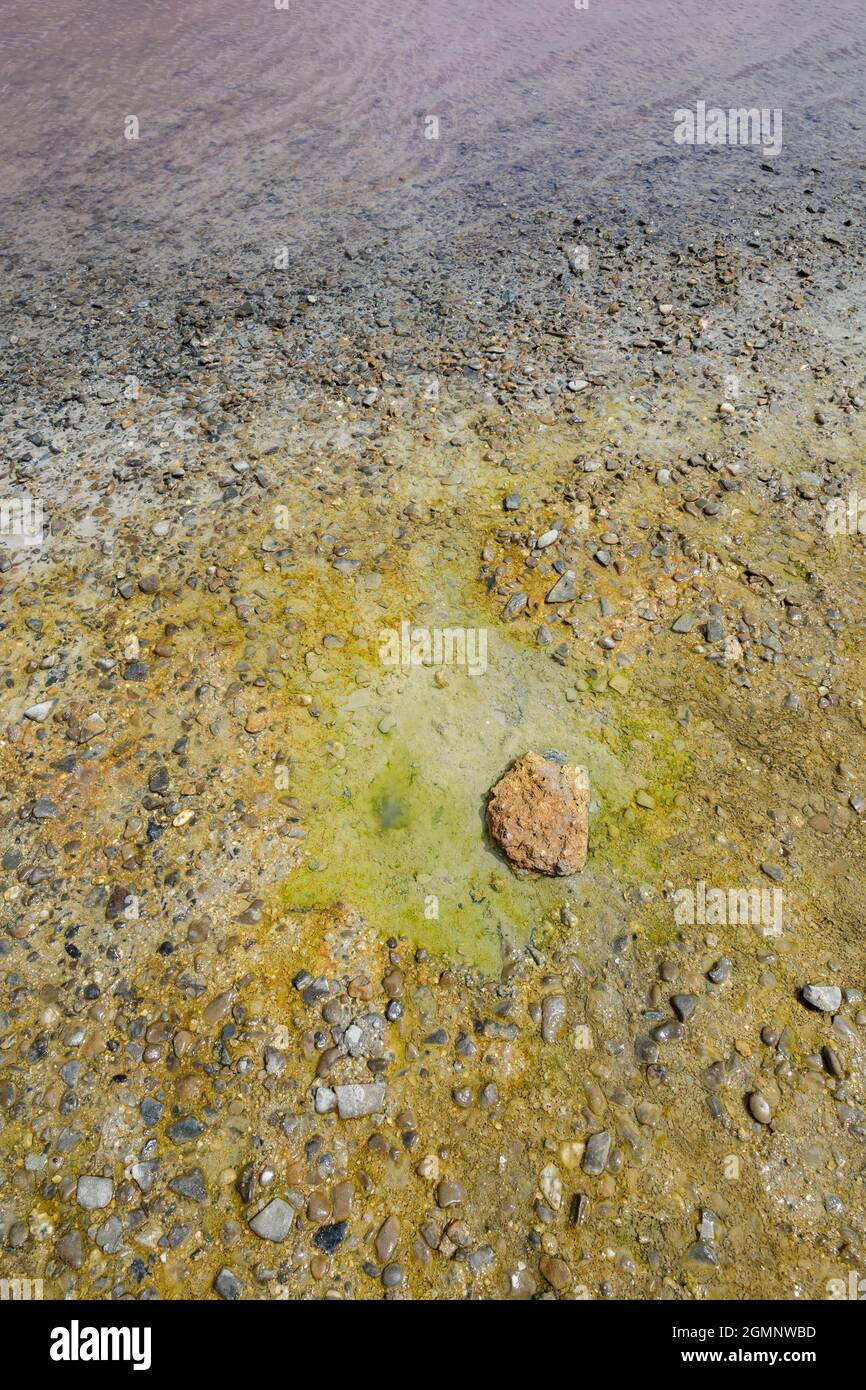 Shore of Lake Saki with pink water saturated with minerals, Crimea. A ...