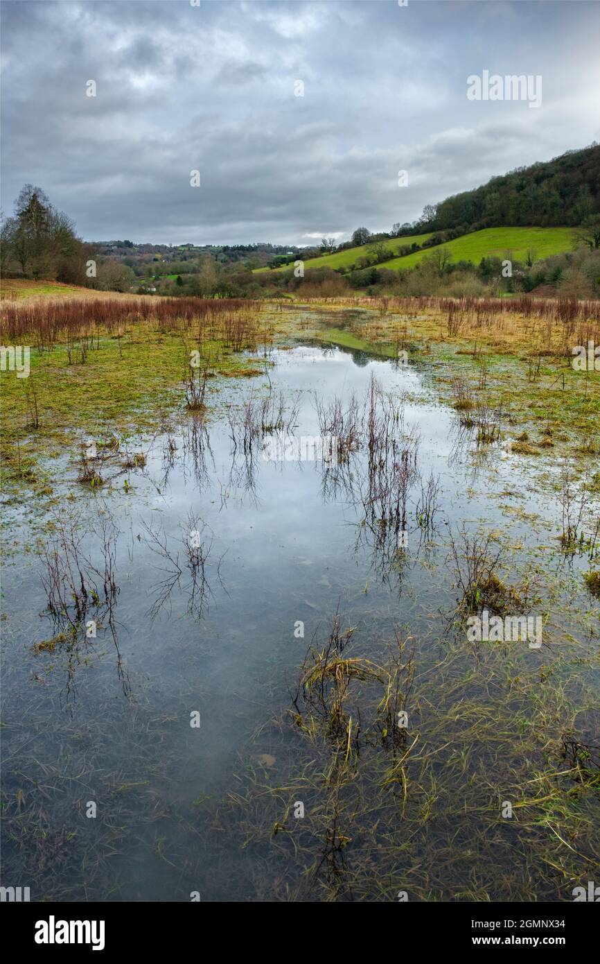 Waterlogged ground alongside the river Wye at Tintern Stock Photo - Alamy
