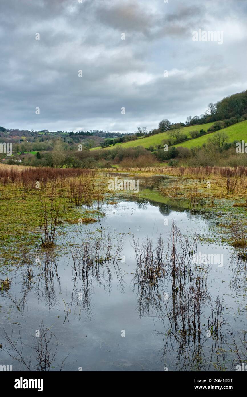 Waterlogged ground alongside the river Wye at Tintern Stock Photo - Alamy