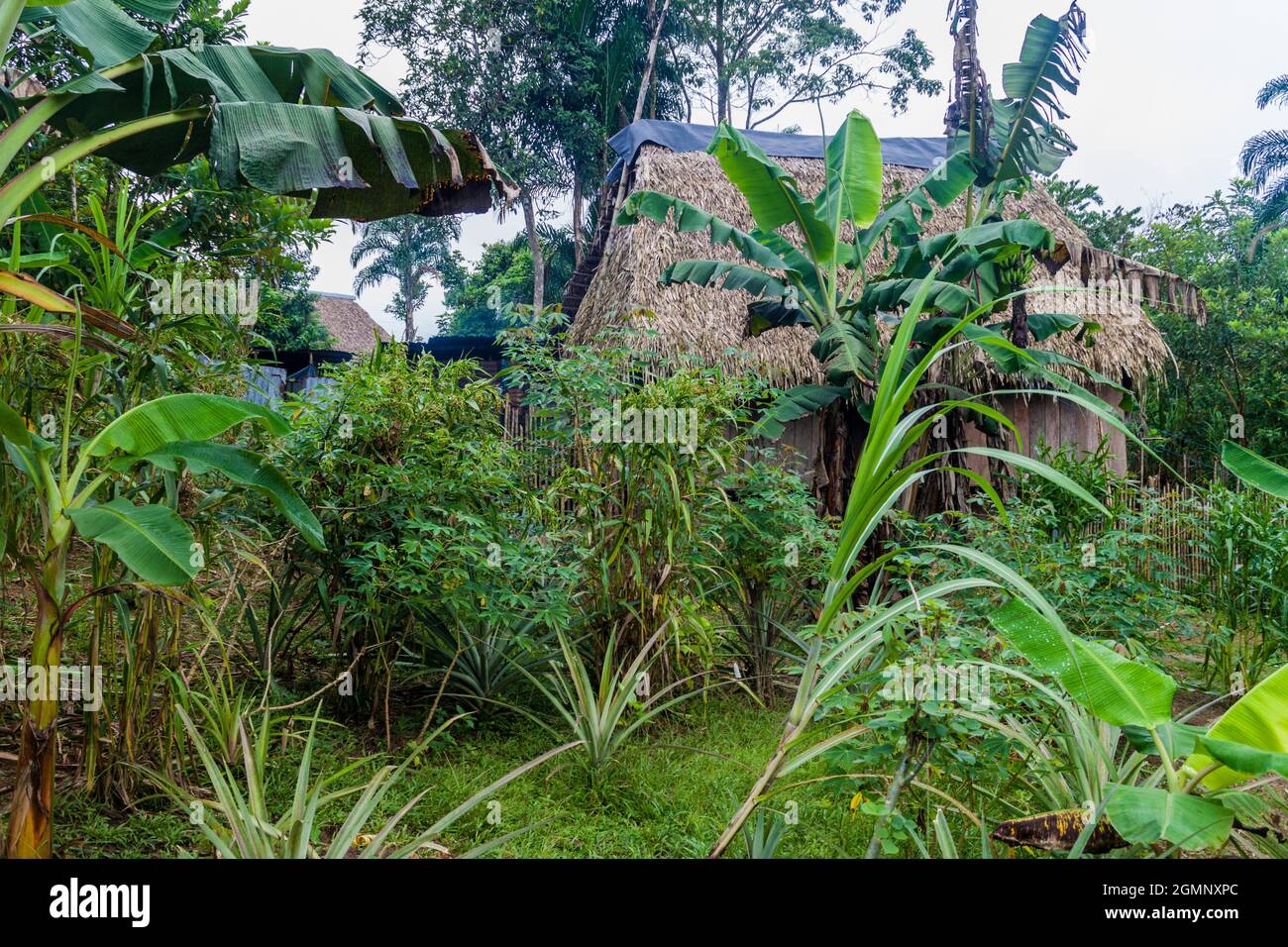 Small house in village Pantoja, Peru Stock Photo - Alamy