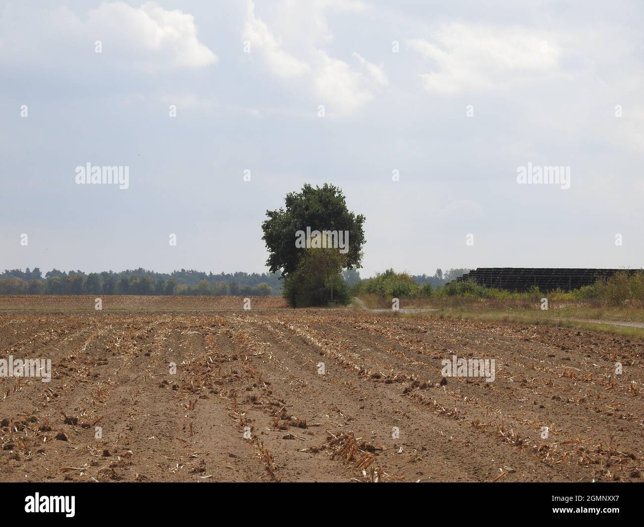 Field under the sky Stock Photo - Alamy