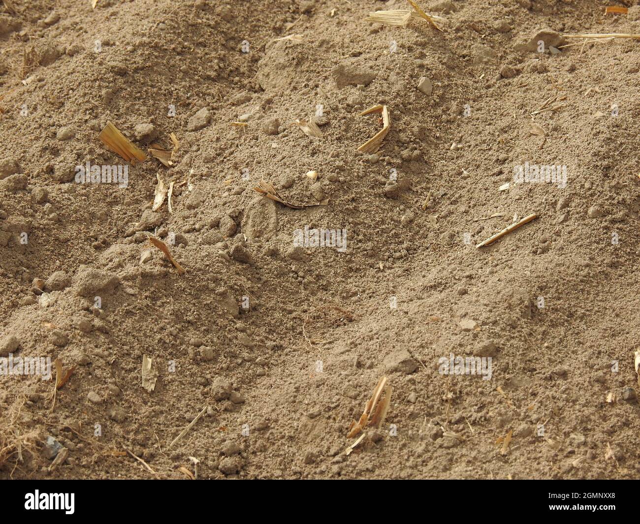 Sandy sea ground hi-res stock photography and images - Alamy