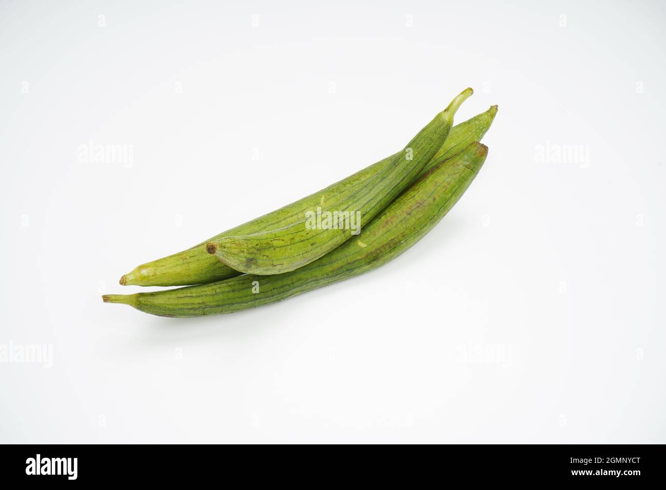 Snake Gourd Isolated on White Background with Clipping Path Stock Photo ...