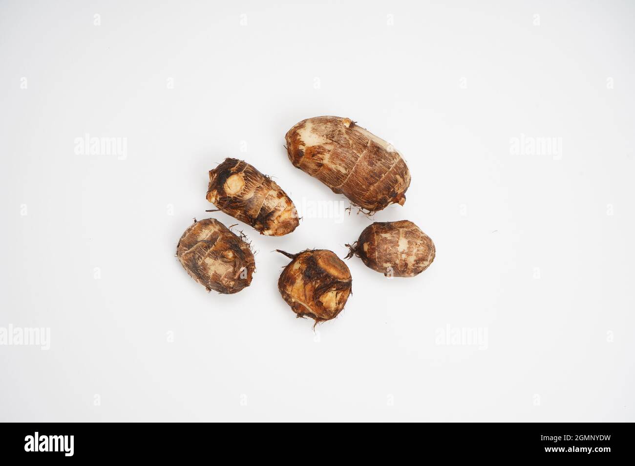 Taro Roots isolated on white background Stock Photo - Alamy