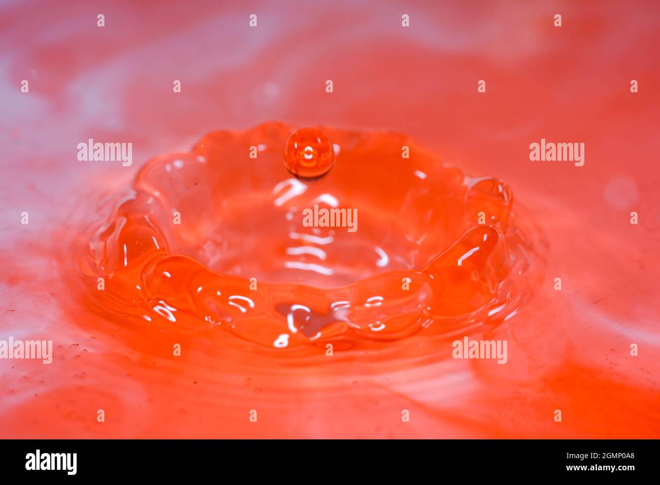 Rain with splashing water droplets photographed in spring in Germany ...