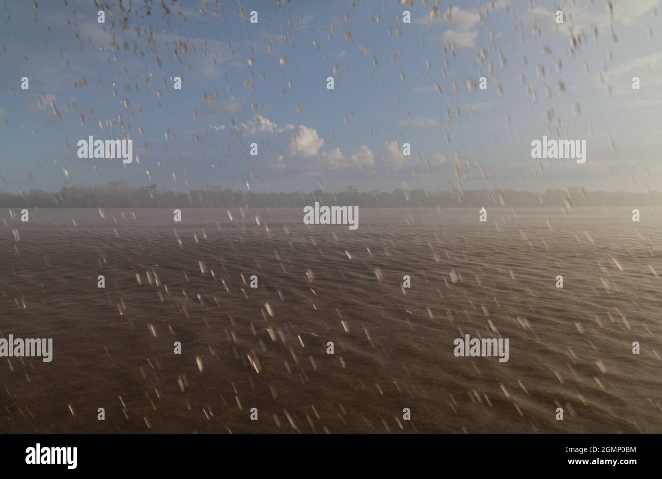Rainy day at a river Amazon in Brazil Stock Photo - Alamy