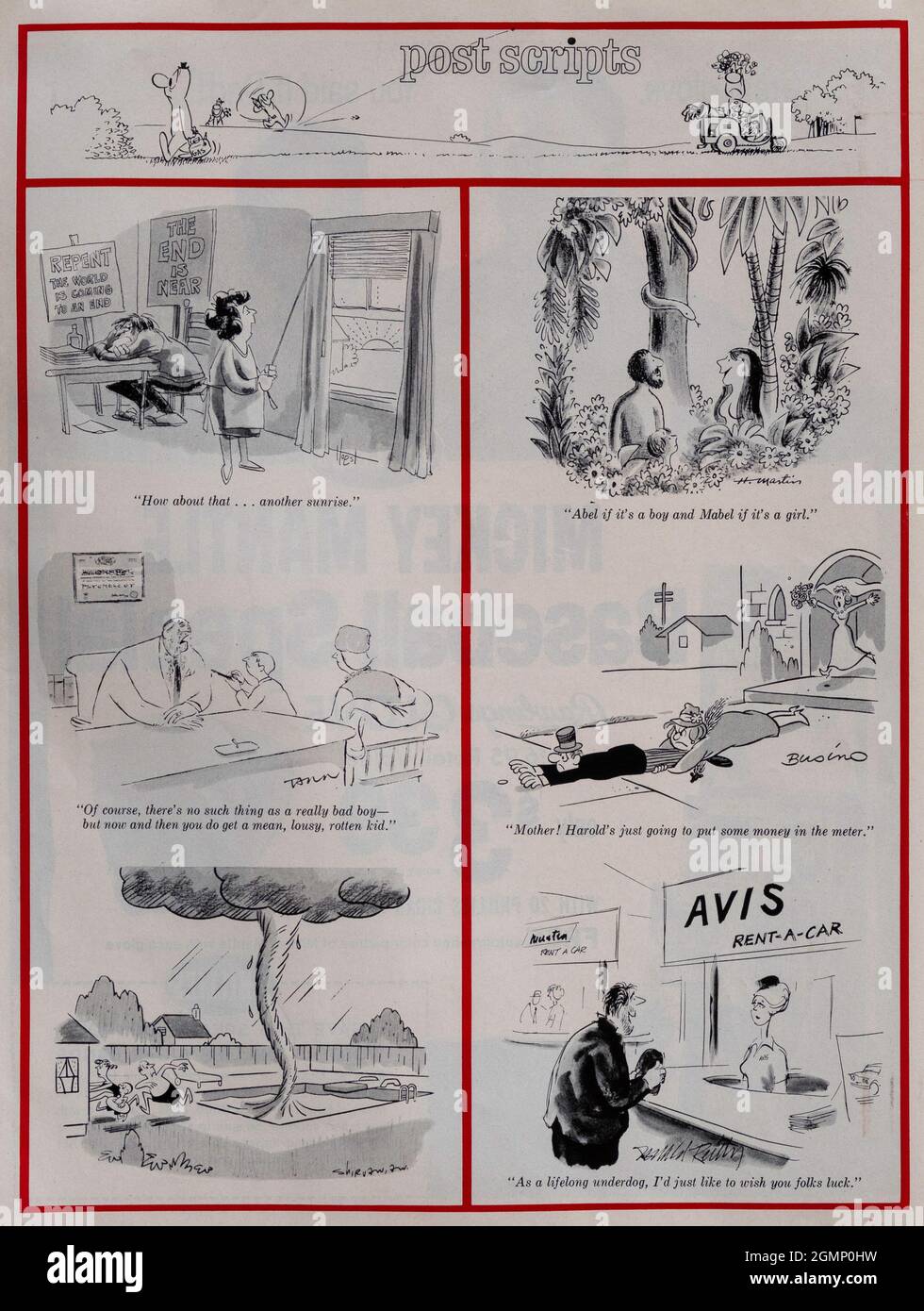 Avis Advert High Resolution Stock Photography and Images - Alamy