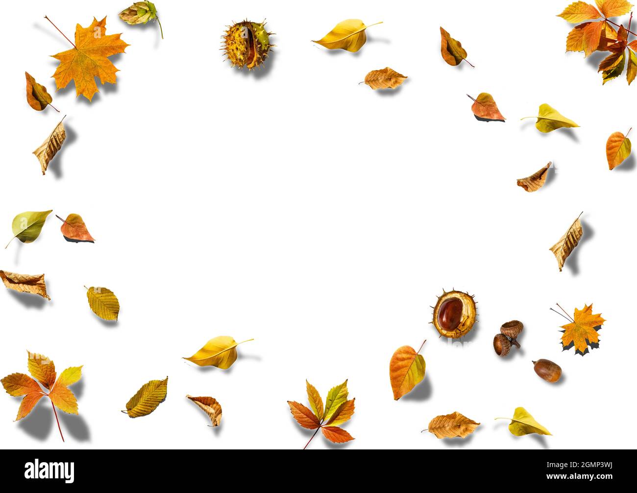 Autumn layout composition frame of dry leaves of twigs and berries on ...