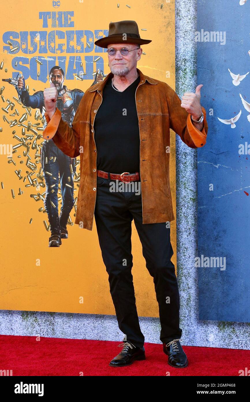 Los Angeles - CA - 20210802 Red carpet arrivals for the premiere of The ...