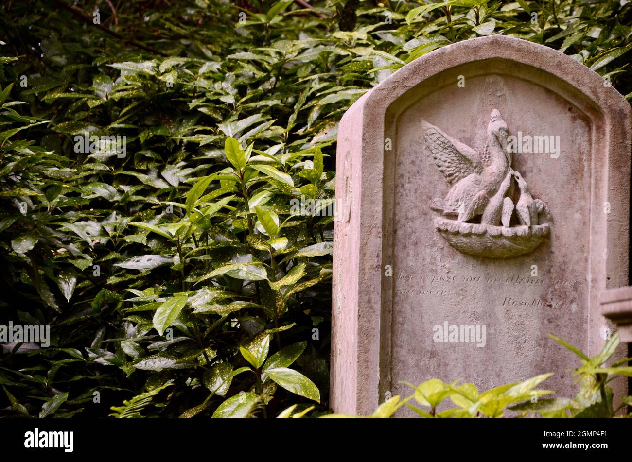 Highgate cemetery george michael hi-res stock photography and images ...