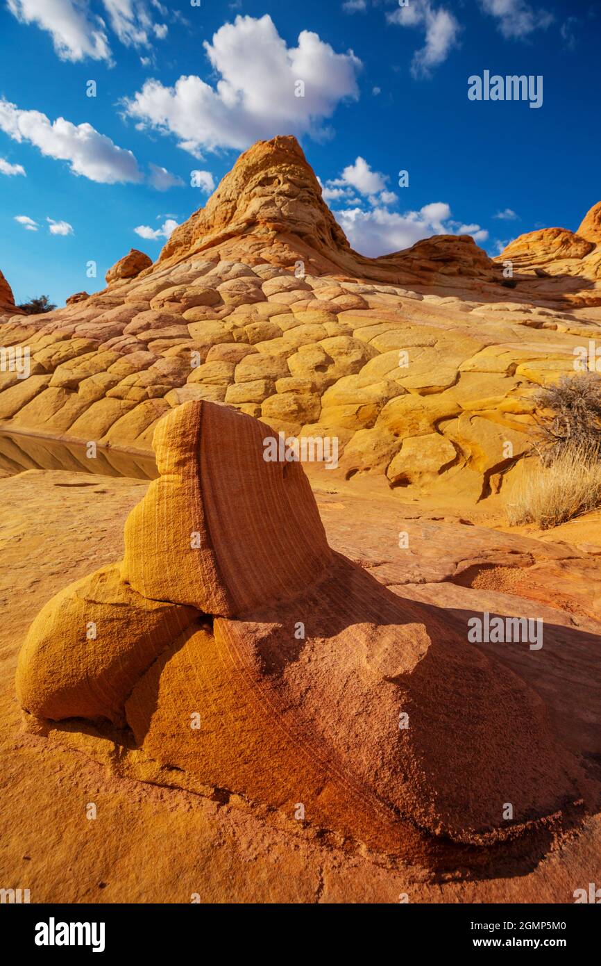 Coyote Buttes of the Vermillion Cliffs Wilderness Area, Utah and ...