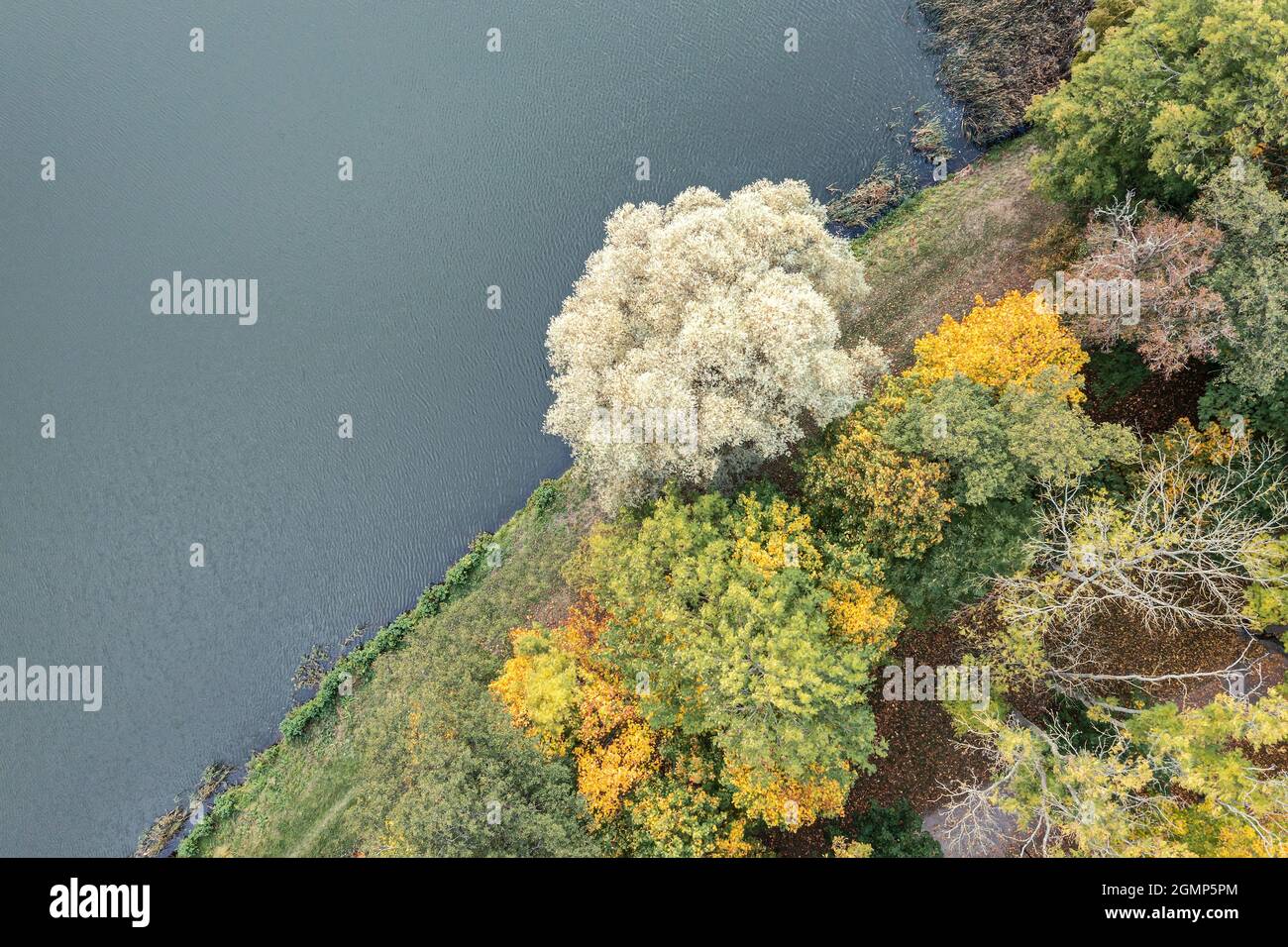 Aerial view riverbank beautiful trees hi-res stock photography and ...