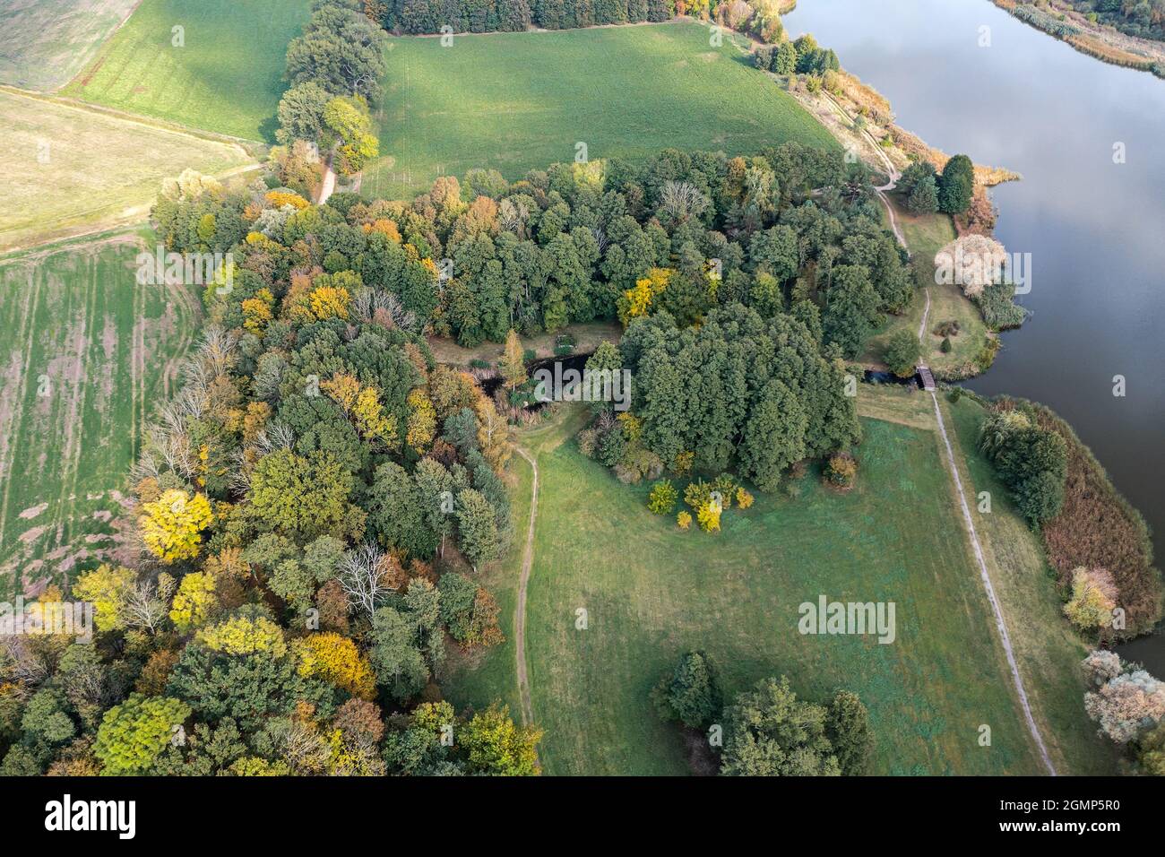 Foliage trees aerial hi-res stock photography and images - Alamy
