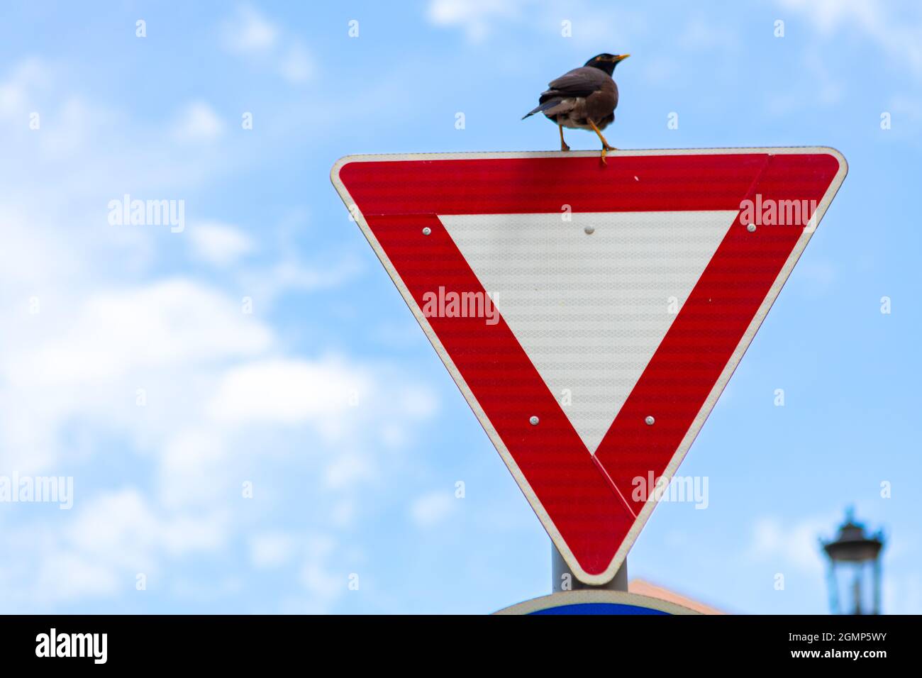 Crow warning sign hi-res stock photography and images - Alamy