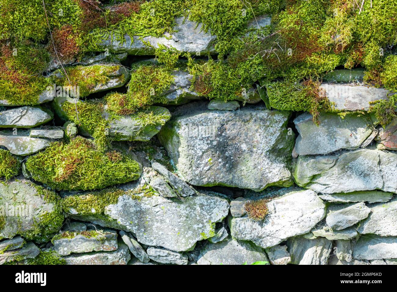 stone wall covered with moss Stock Photo - Alamy