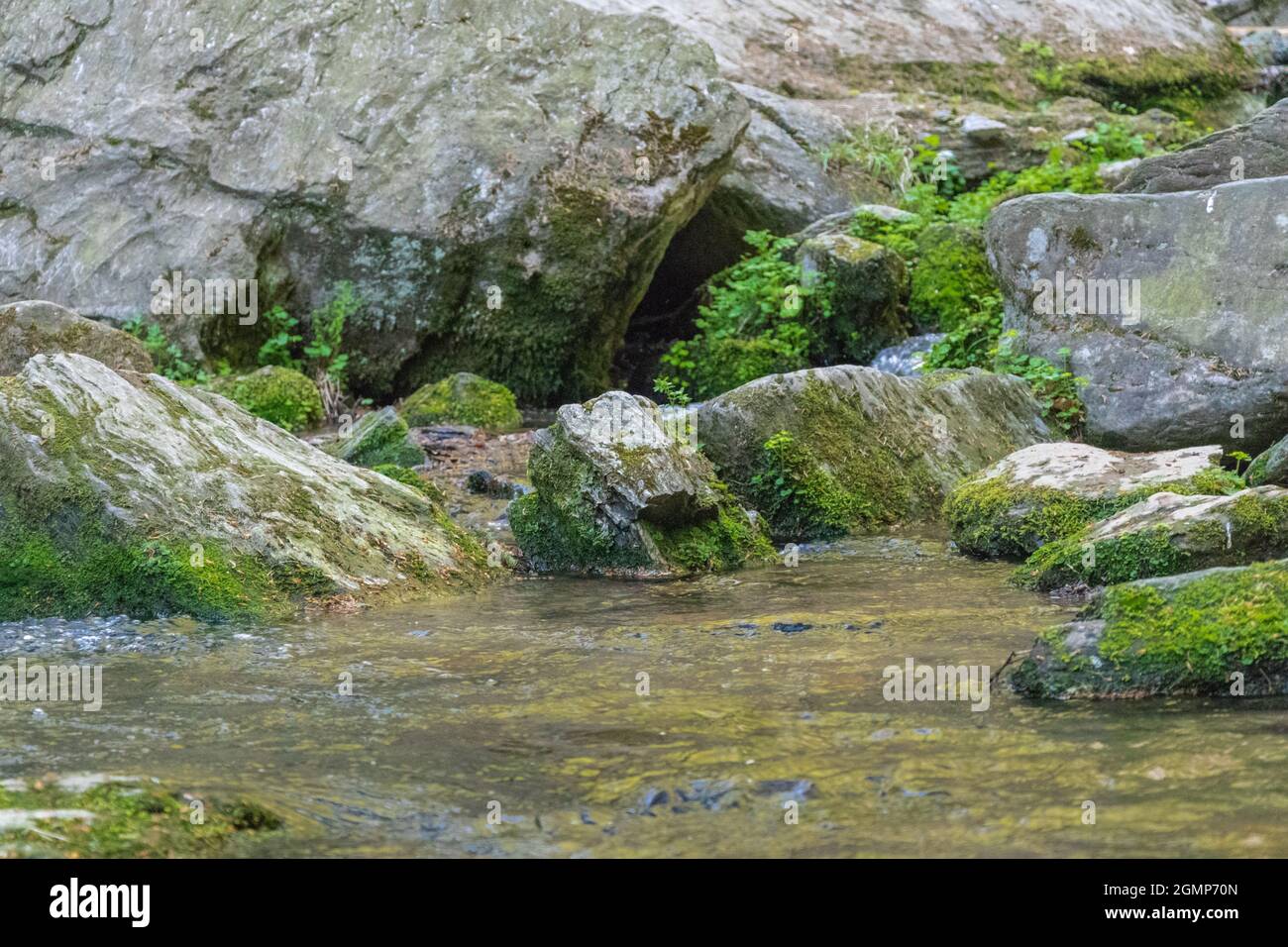 Smaller river hi-res stock photography and images - Alamy