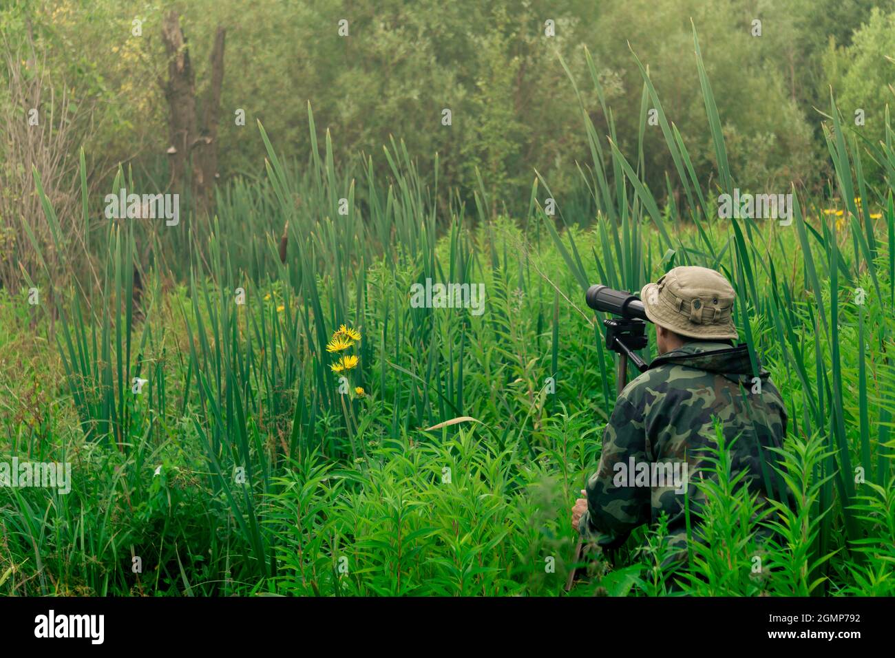 man birdwatcher makes field observation with a spotting scope standing ...