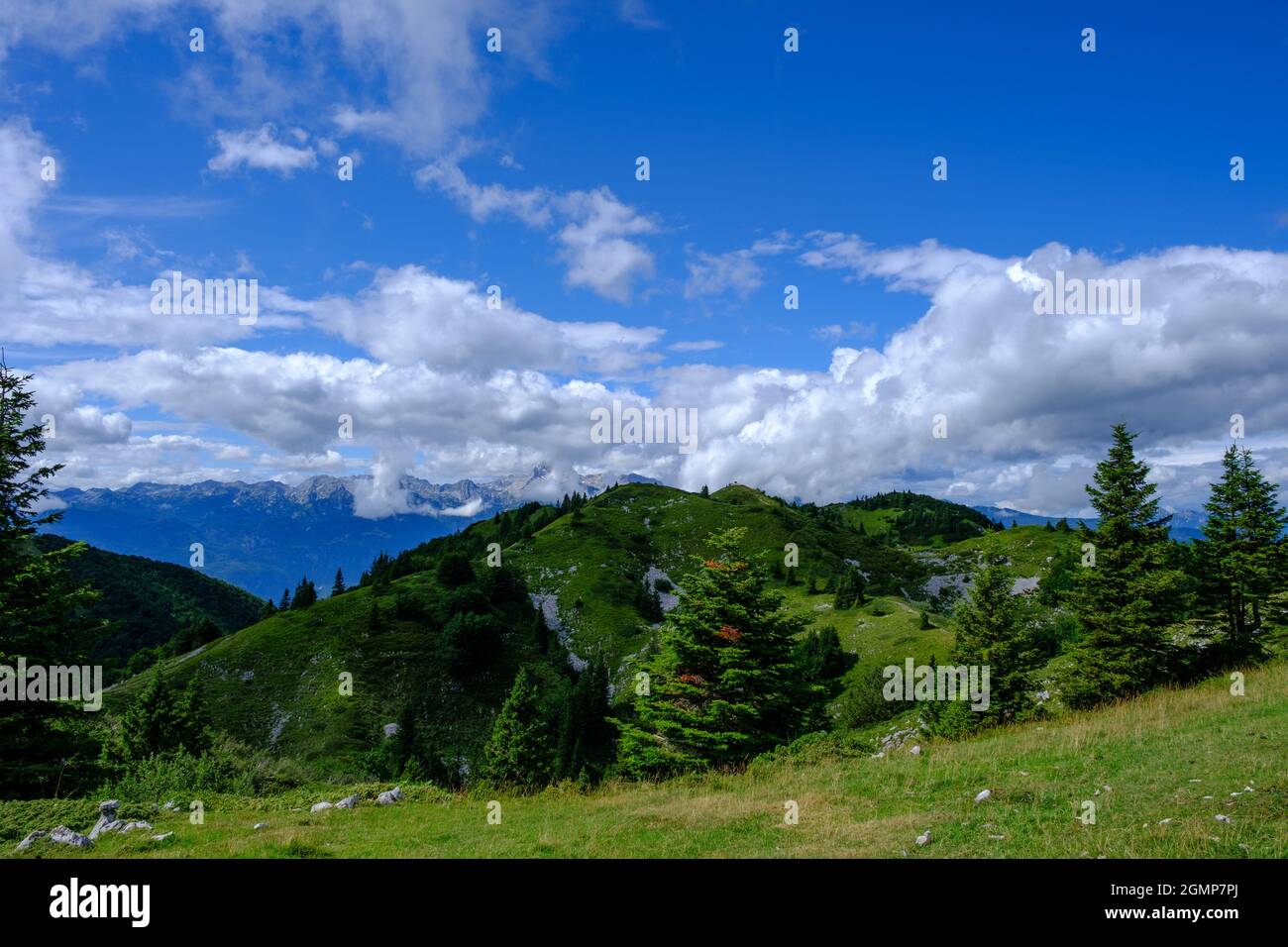 Mozic hi-res stock photography and images - Alamy