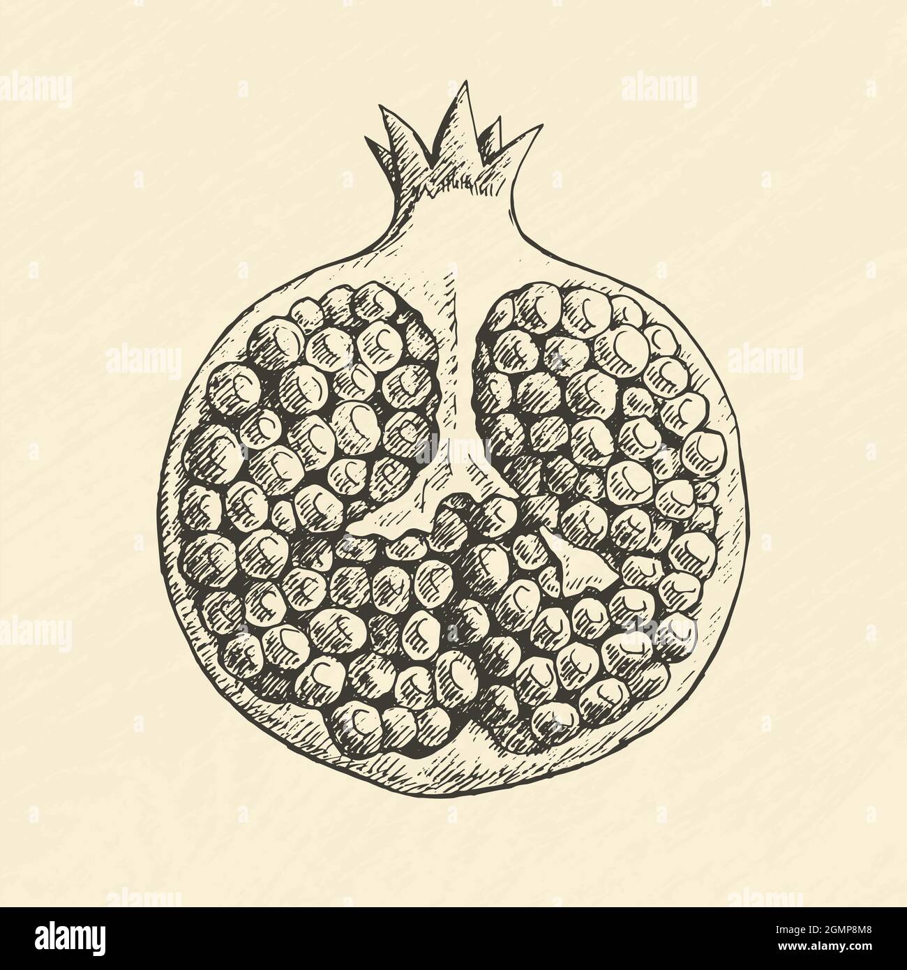 Sketch Of Pomegranate