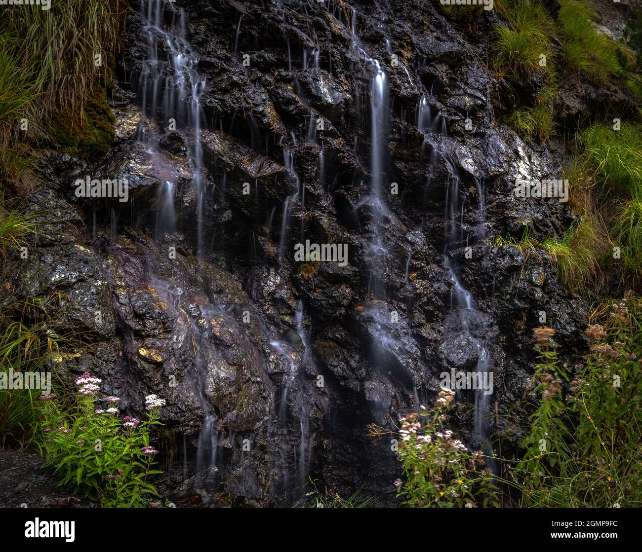 Water stream running over rock in mini waterfall cascades. Forest water ...