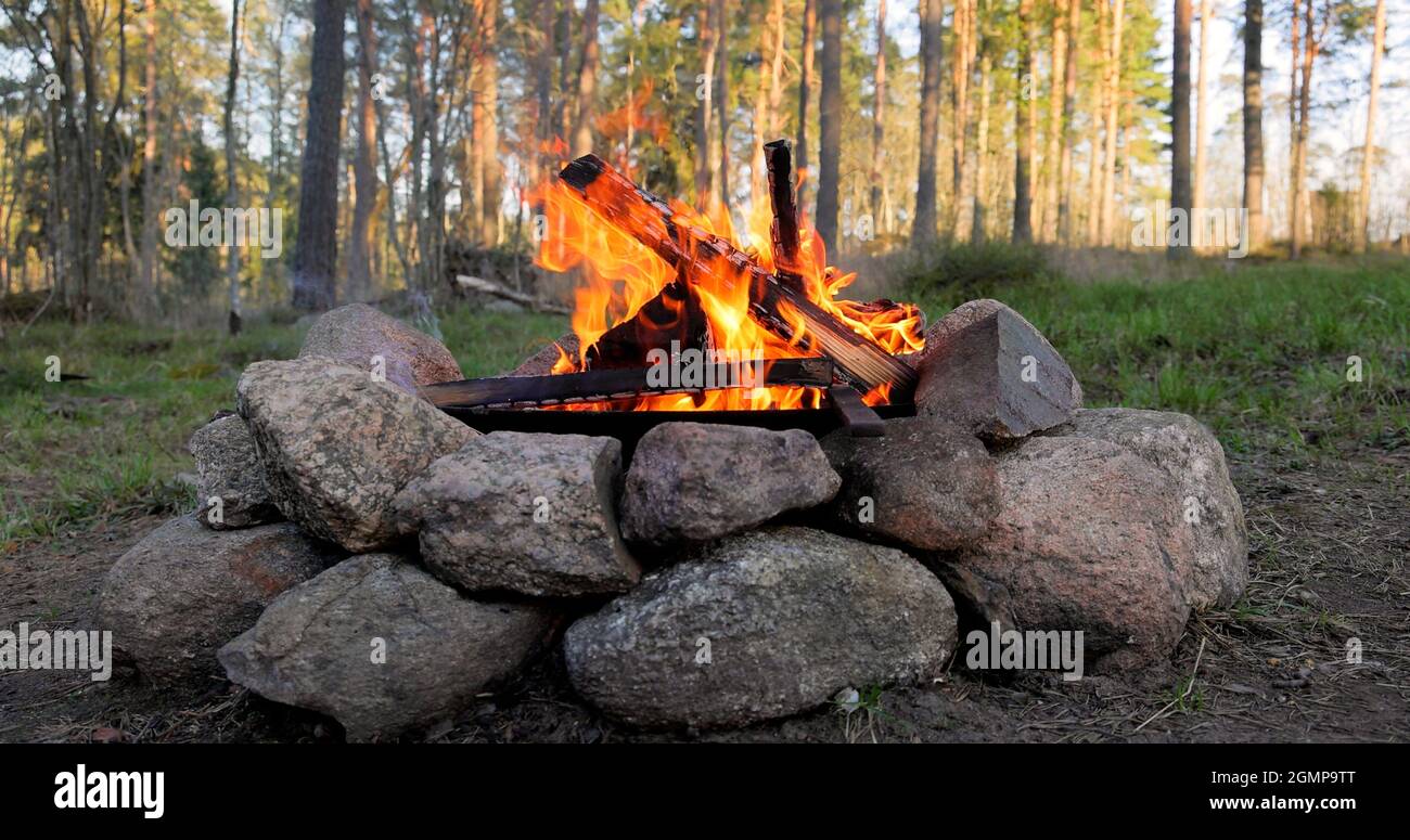 Campfire in the forest hi-res stock photography and images - Alamy