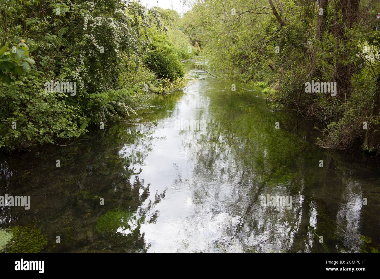 The River Anton in Andover, Hampshire in the UK Stock Photo - Alamy