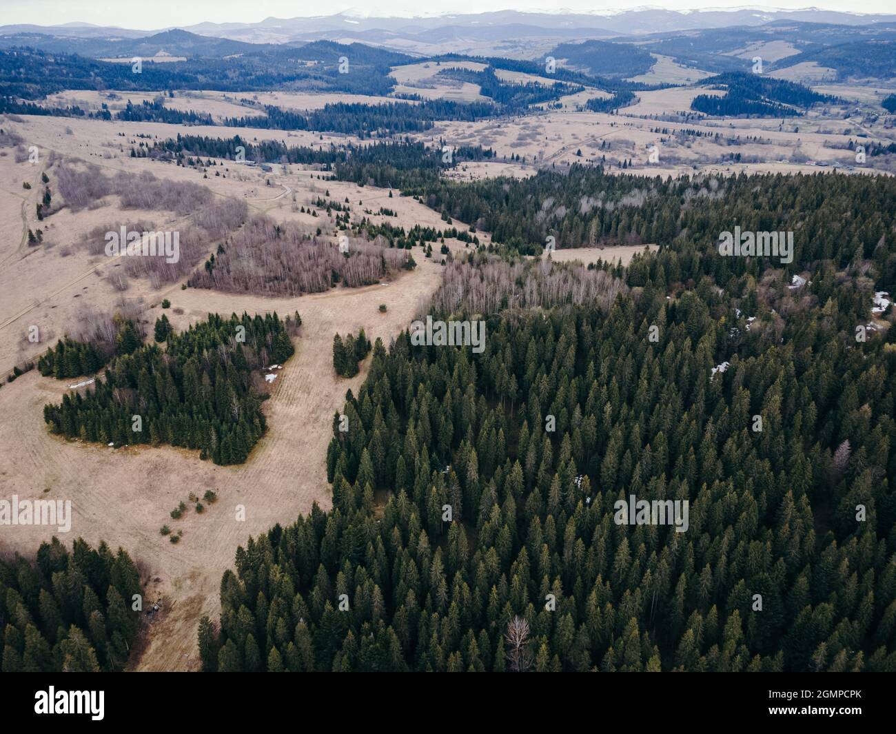 Slope mountain large trees in hi-res stock photography and images - Alamy