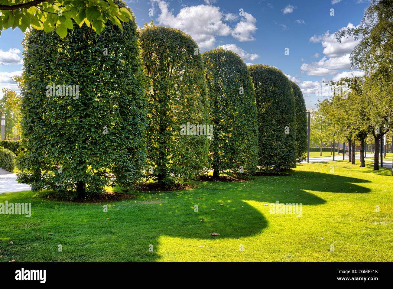 Krasnodar park hi-res stock photography and images - Alamy