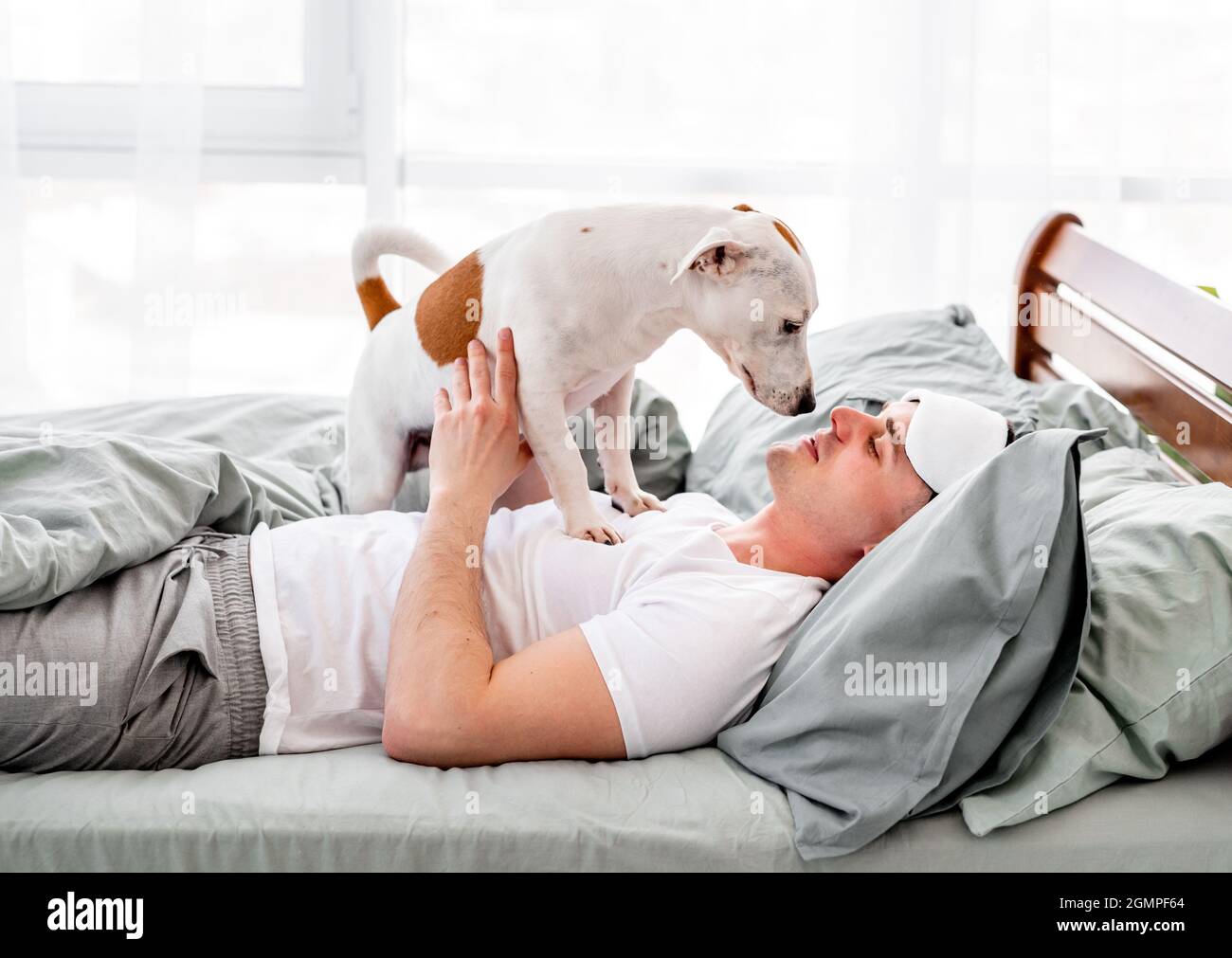 Man with dog in the bed Stock Photo - Alamy