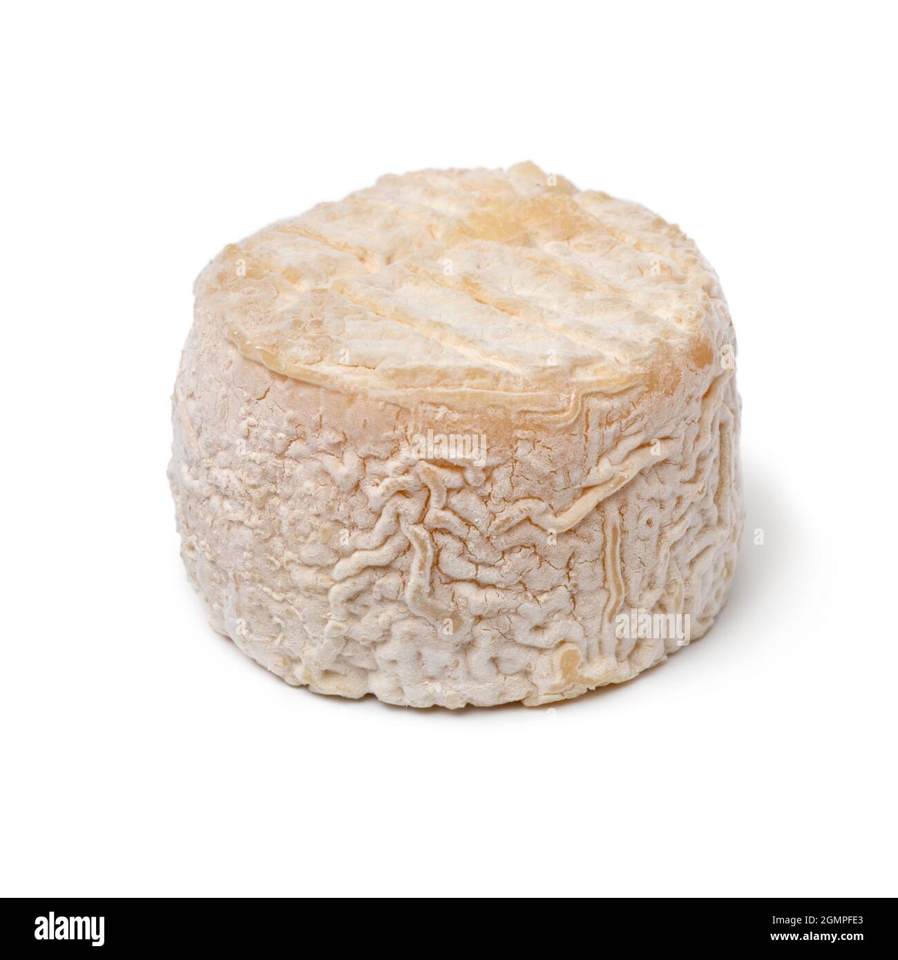 Single whole French small goat cheese isolated on white background ...