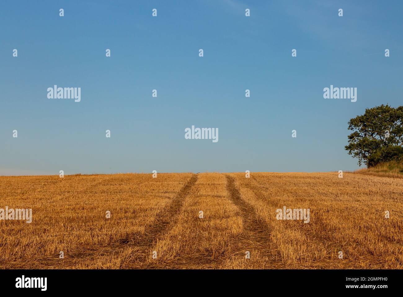 Looking out over a field with crop stubble after harvesting, with blue ...