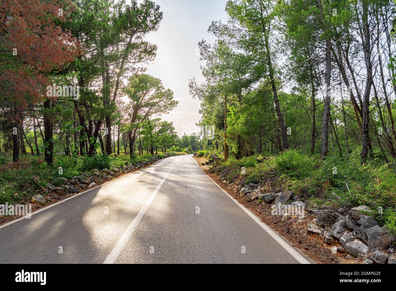 Country road sun rays hi-res stock photography and images - Alamy