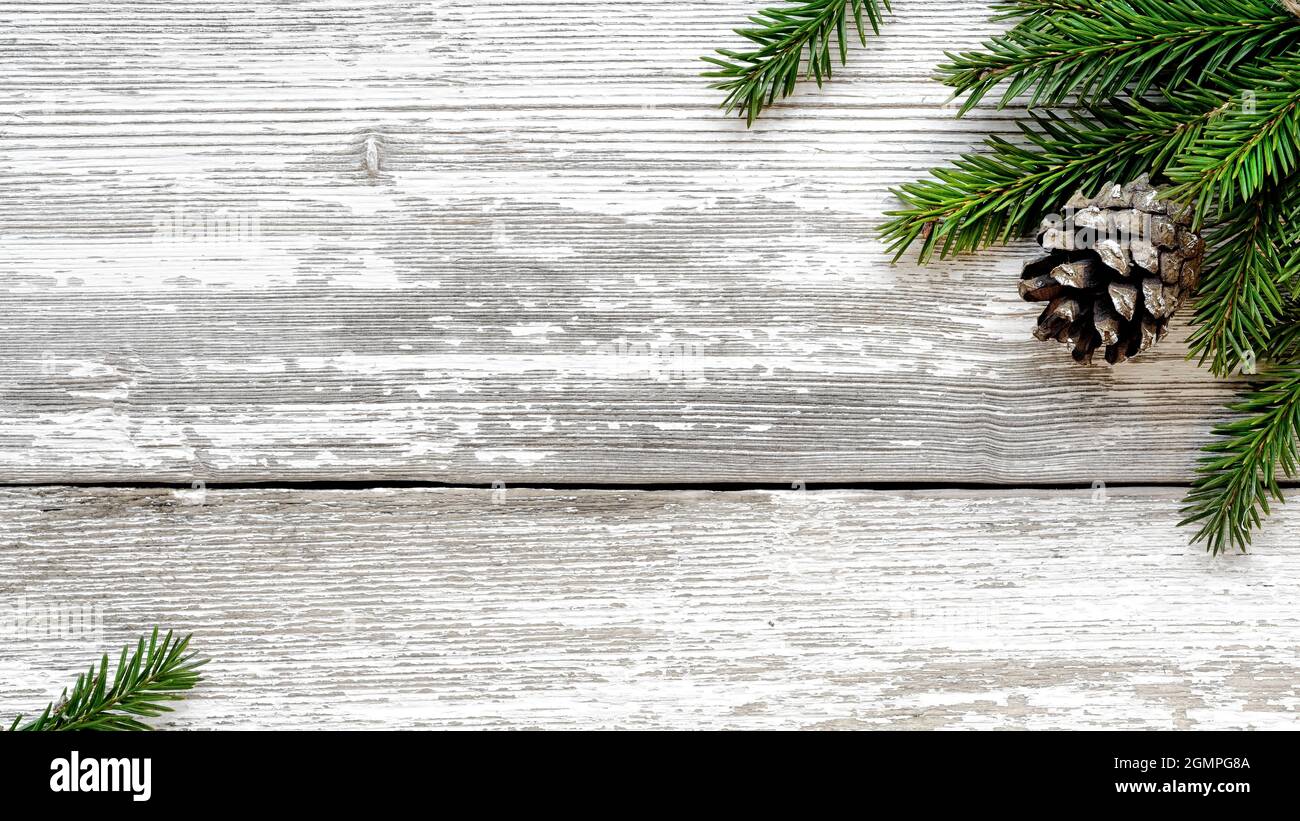 Christmas Fir tree branches and pine cone background Stock Photo - Alamy