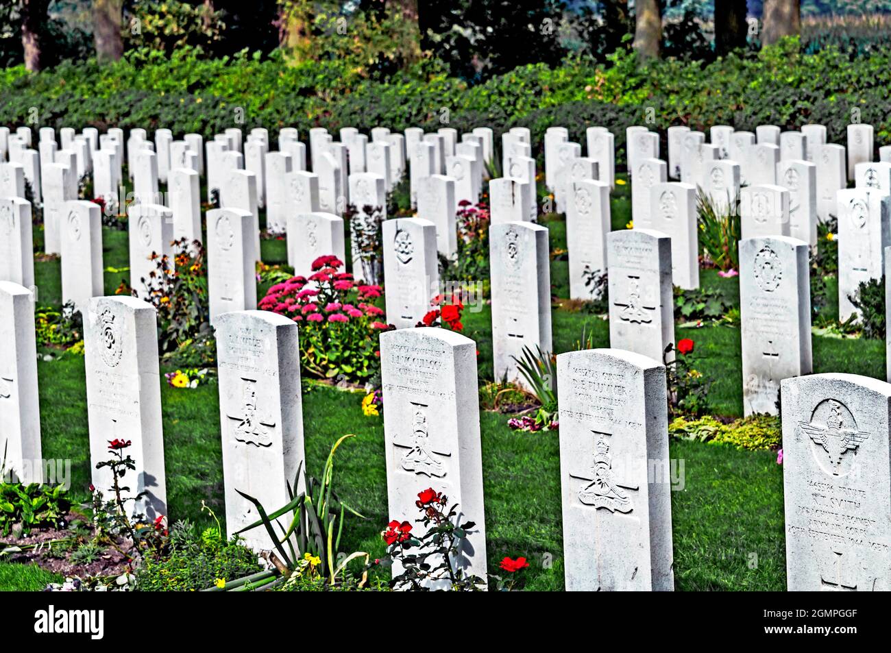 Oosterbeek War Cemetery, The Netherlands. The graves are those of ...