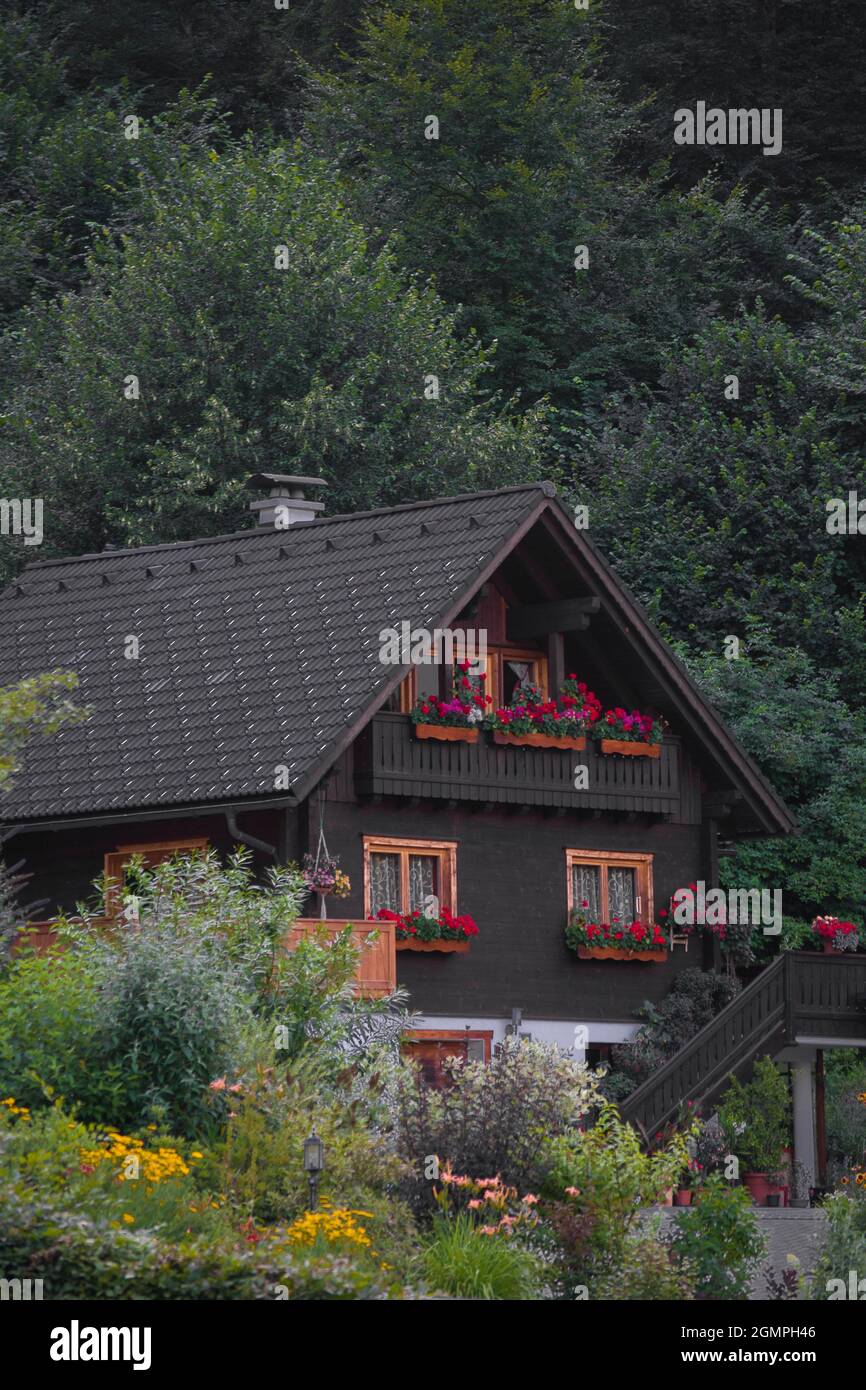 Beautiful houses in the Austrian Alps. The houses have their own charm ...