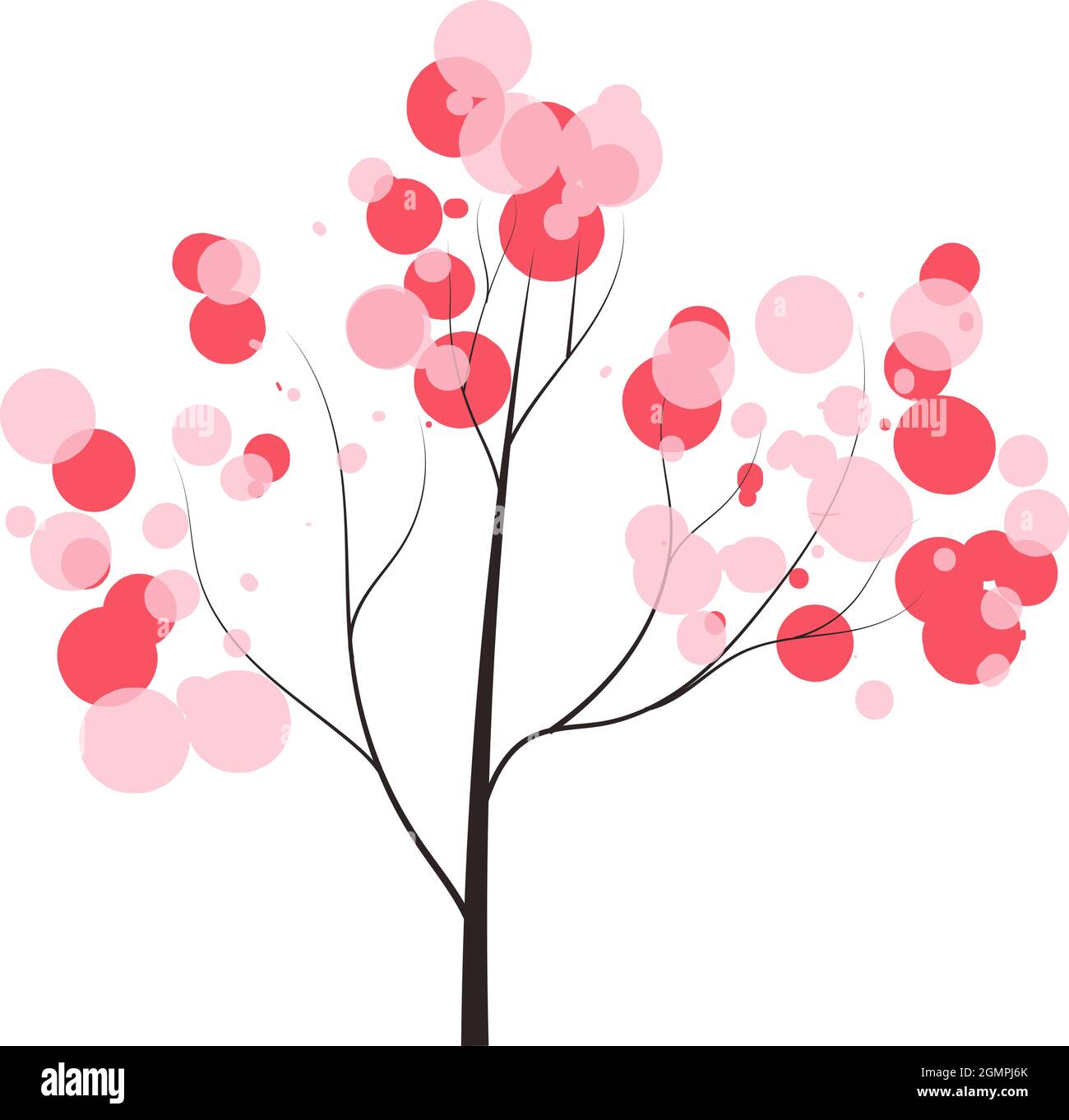 Cherry alder Stock Vector Images - Alamy