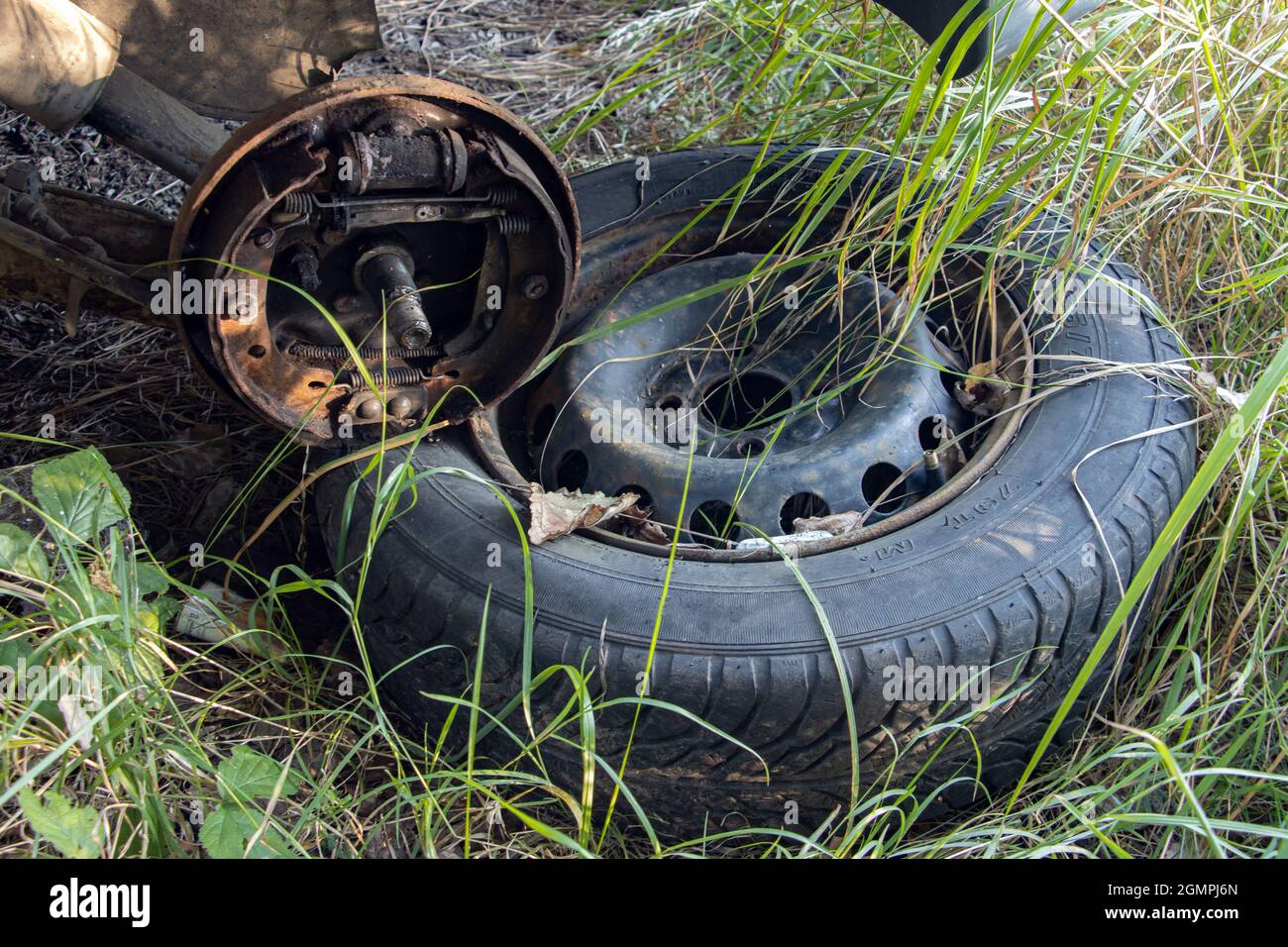 The disassembled wheel with the tire lies in a grass under the car ...