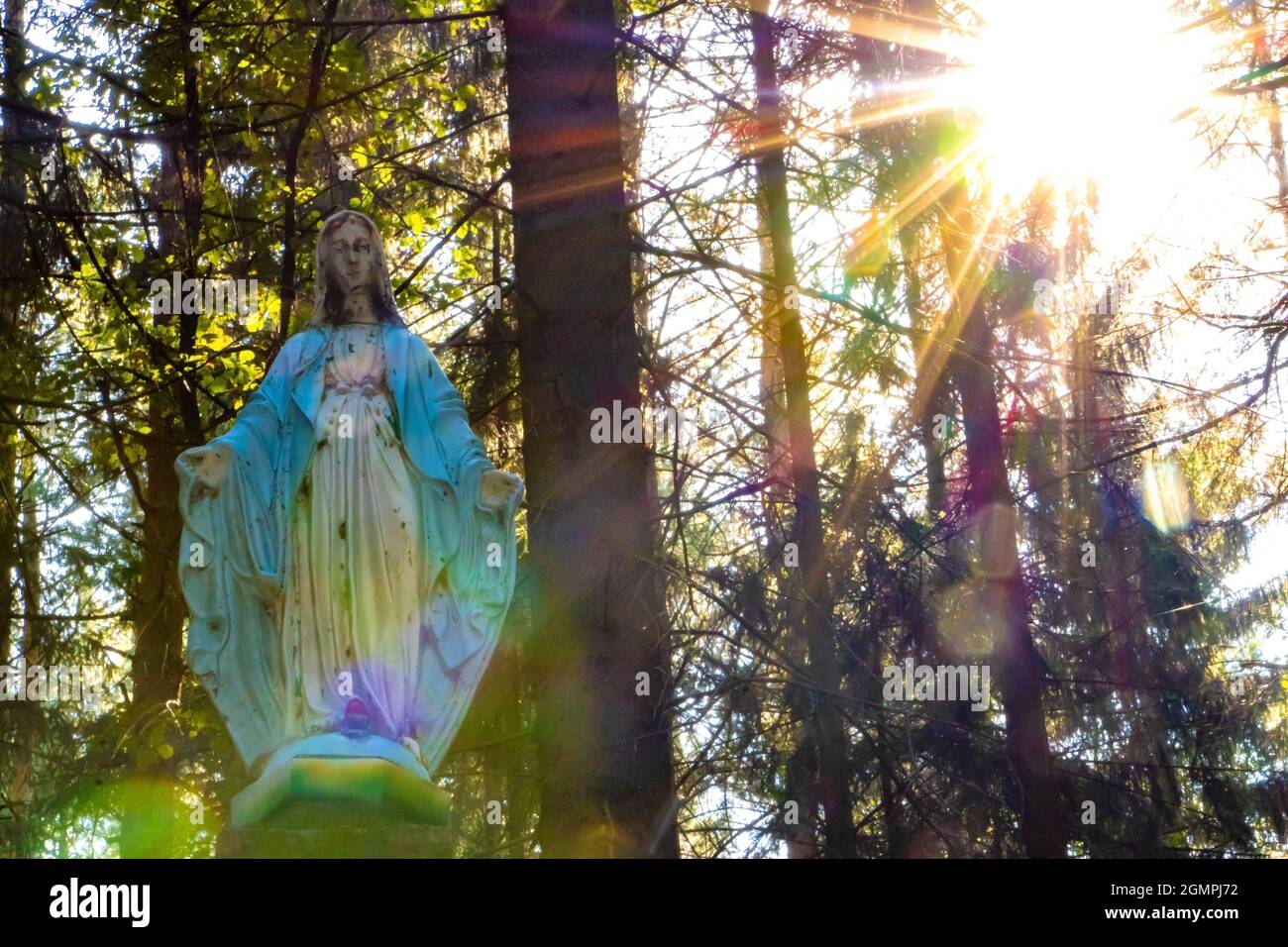 The sun's rays shine through the trees on the statue of the Virgin Mary ...