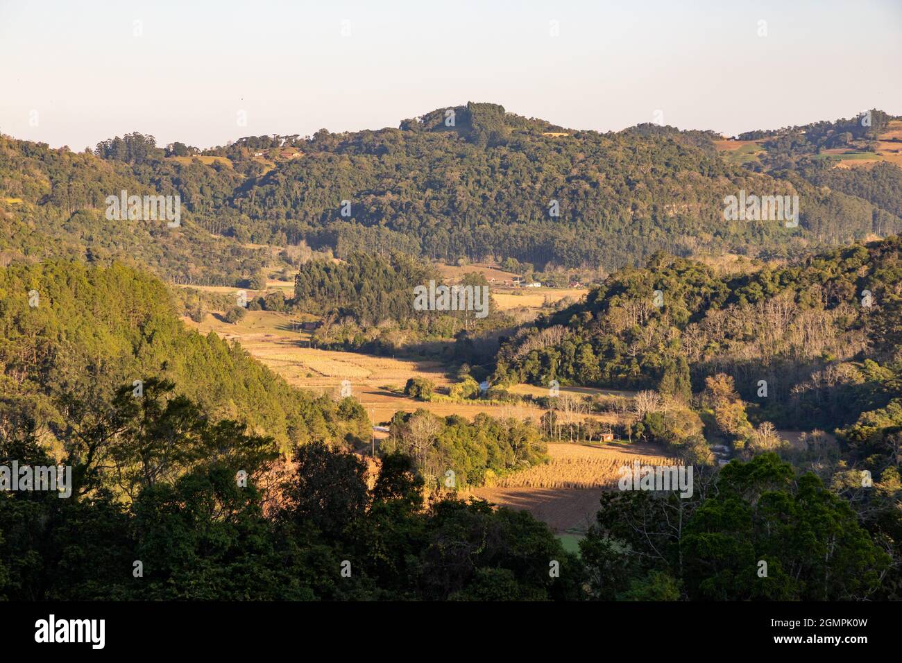 Farm fields in a valley with forest, Santa Cruz do Sul, Rio Grande do ...