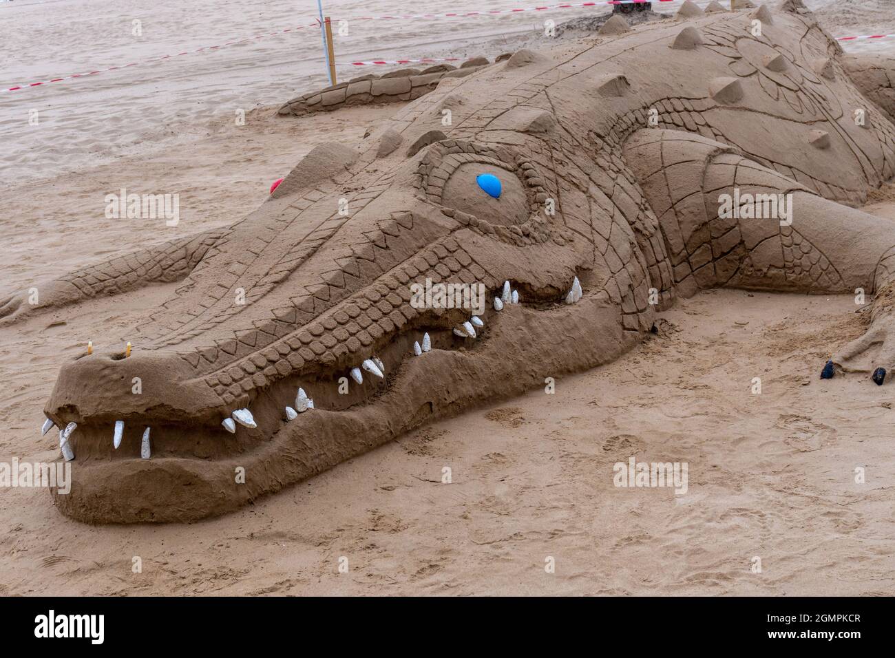 Sand sculpture of a crocodile on the beach Stock Photo - Alamy
