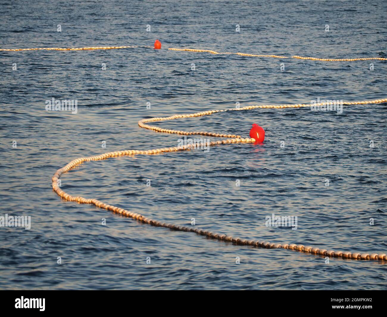 Scenic view of sea floaters on the surface of the water at summertime ...